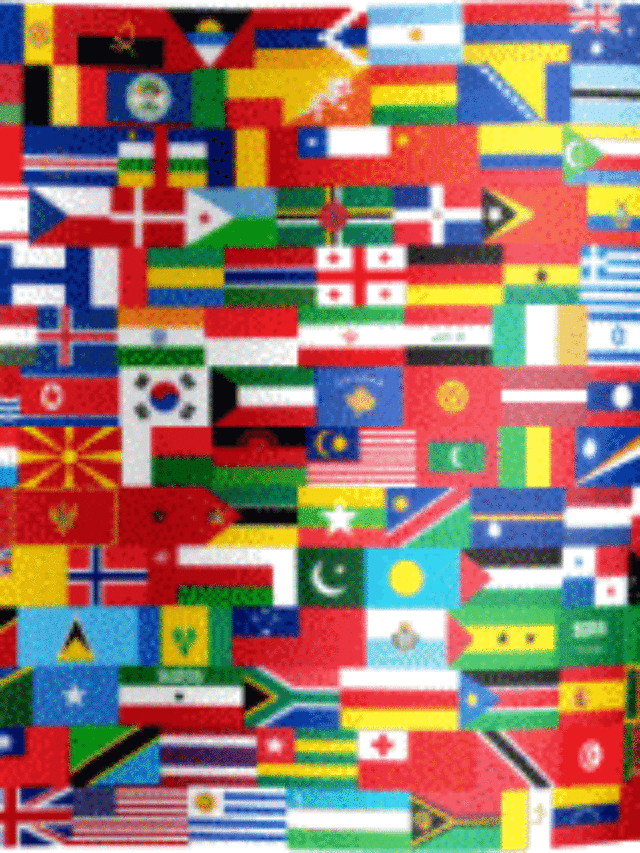 How can flags help us understand AI? - Diplo